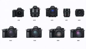 Why Sensor Size Matters More Than Megapixels (Real Camera Comparisons ...